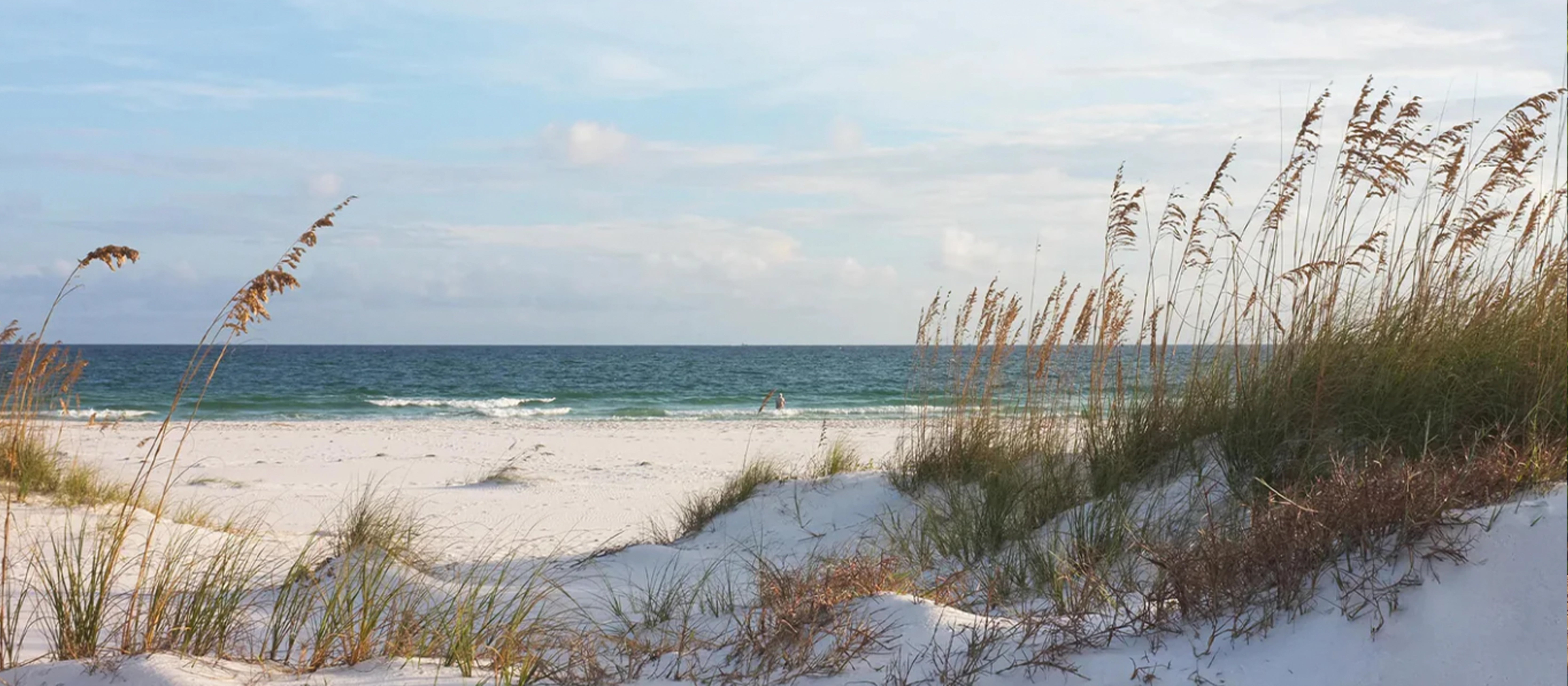 BW Travels - The Hamptons – Brochu Walker