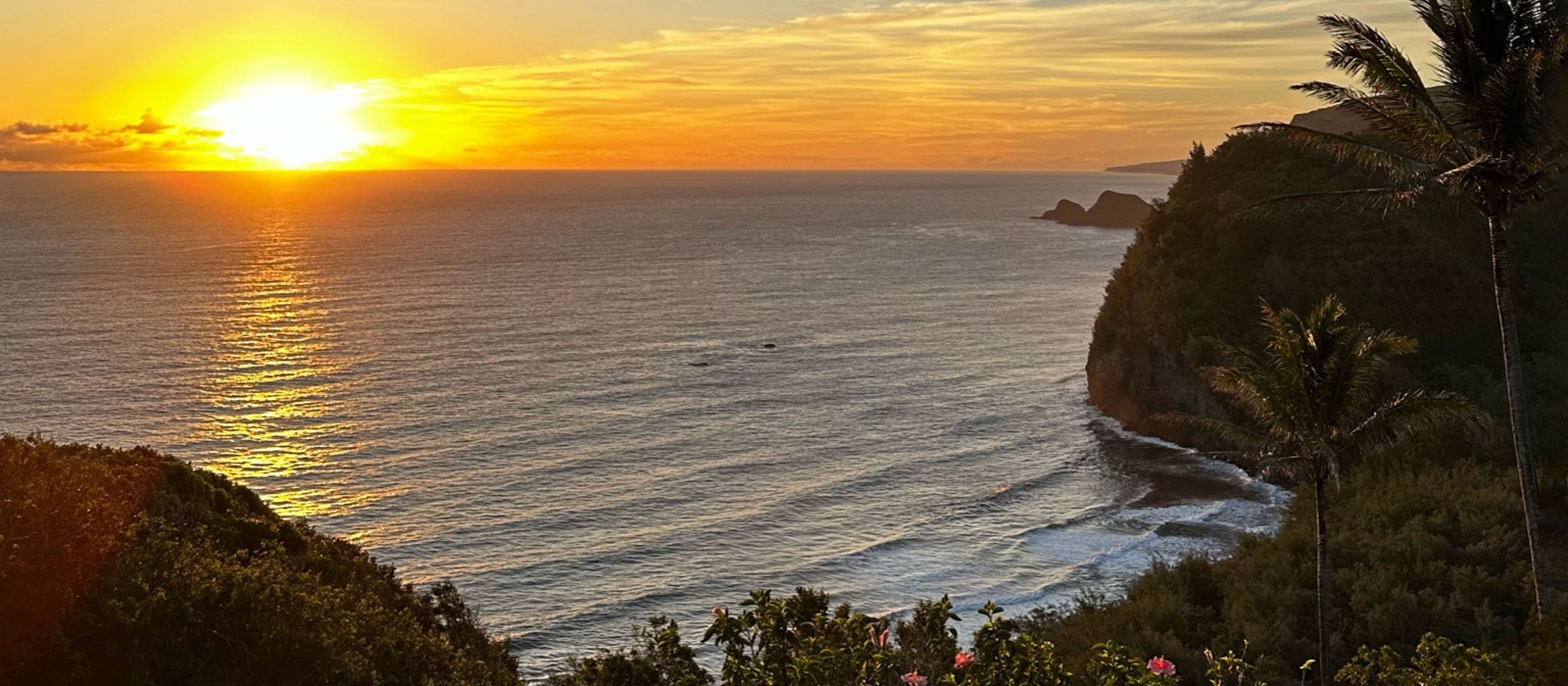 A Love Letter to Hawaii – Brochu Walker