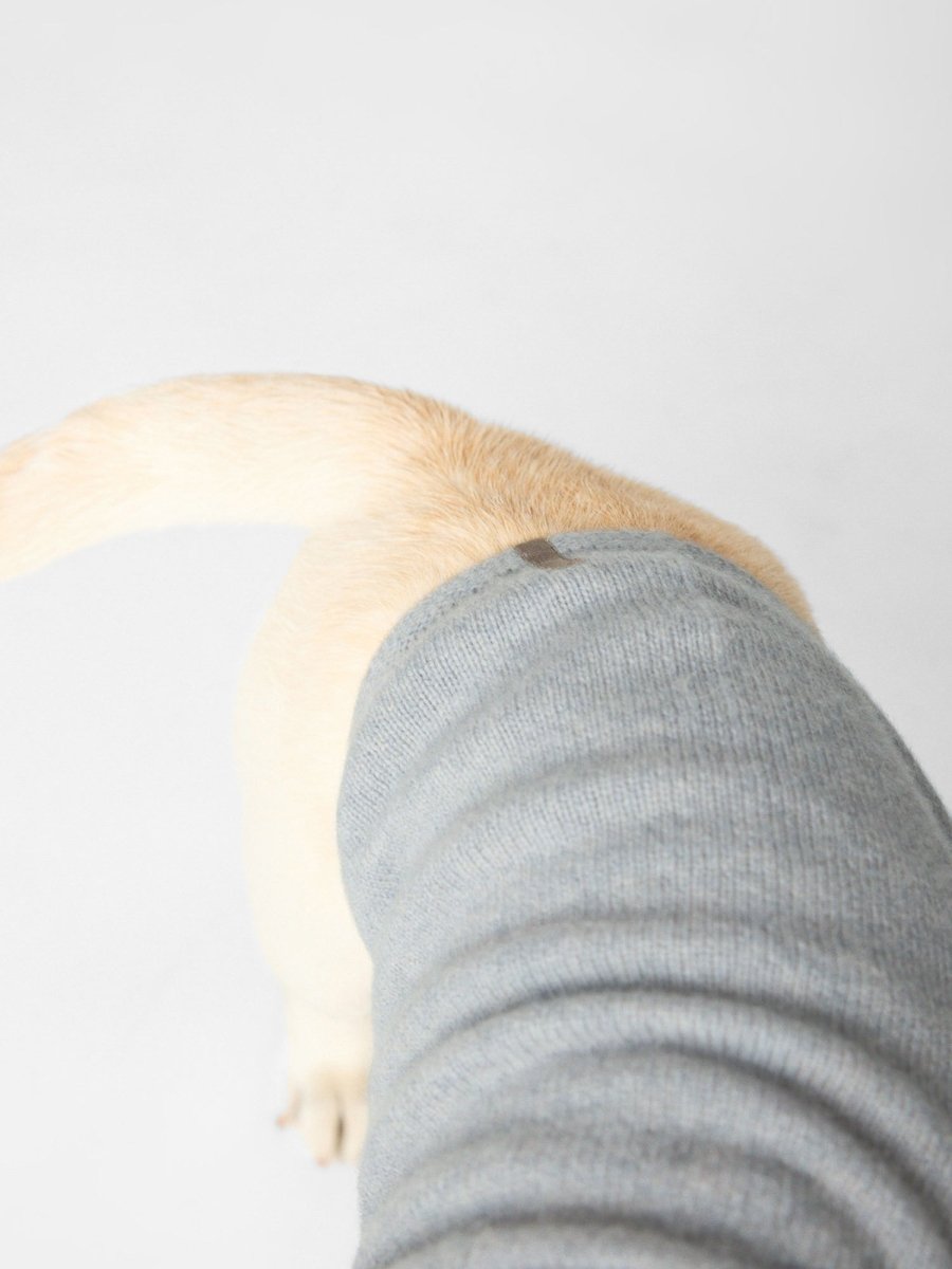 Cashmere Dog Hoodie in Brume Grey