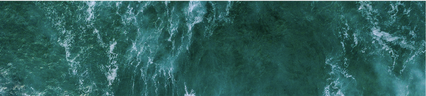 Kinder To The Environment – Brochu Walker